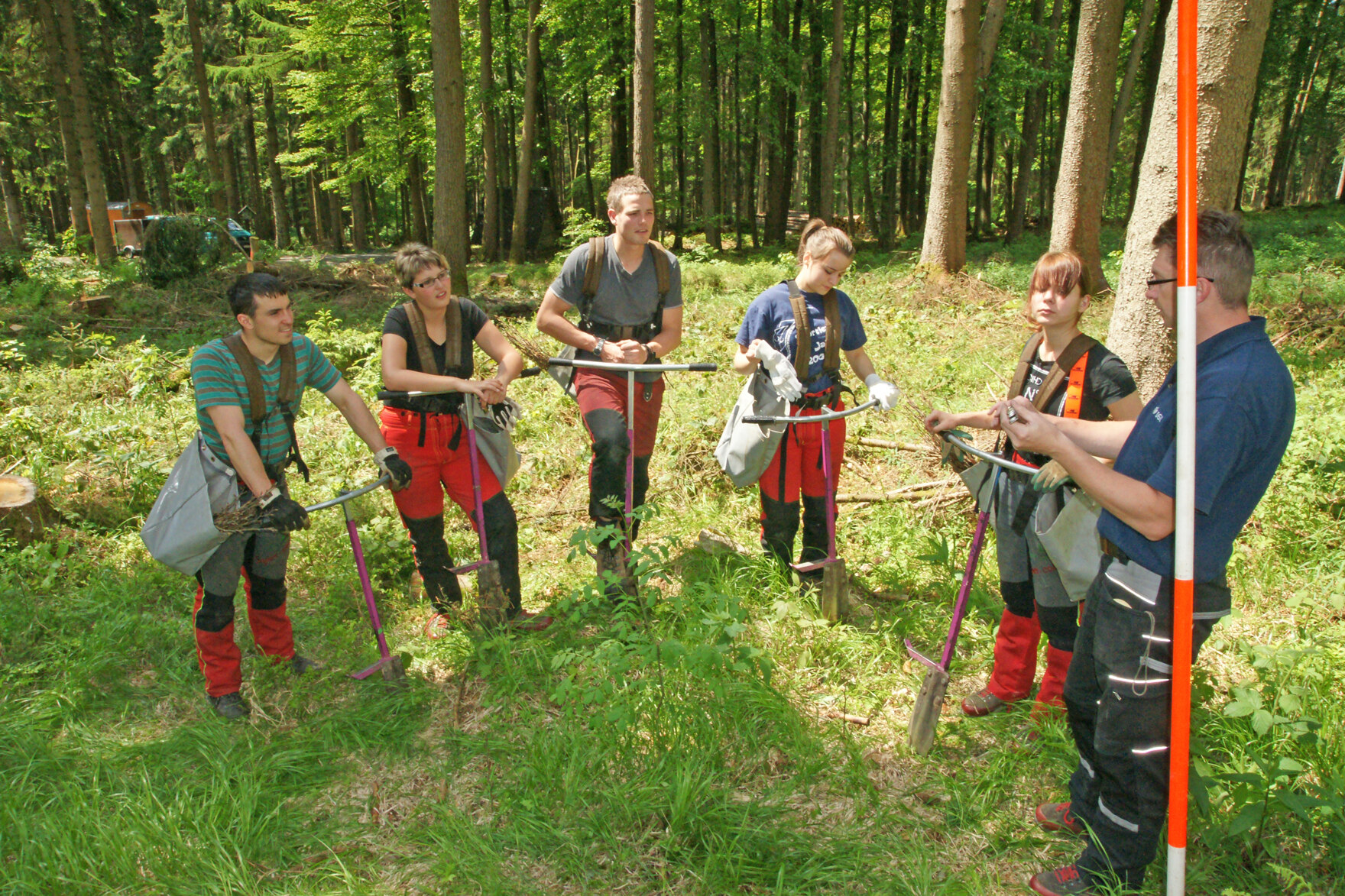 Forstliches Bildungszentrum Bad Reiboldsgrün - Staatsbetrieb ...